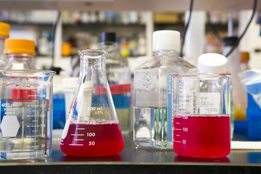 New Drug Targets - Project ALS